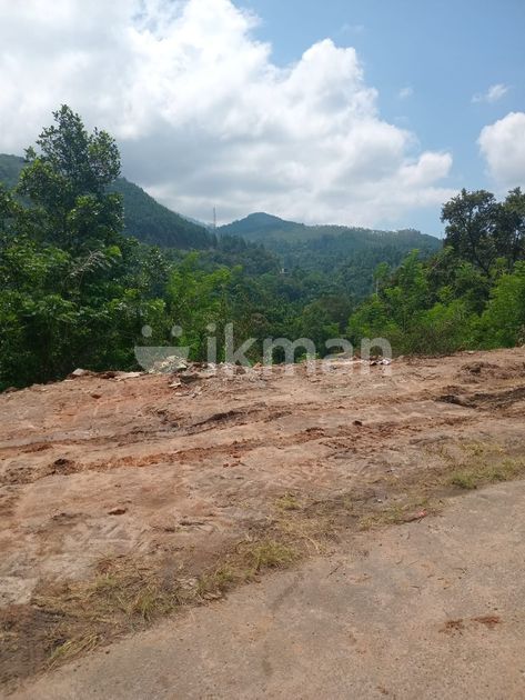 Haputhale : 20 perches commercial Land for Sale at Haldummulla | ikman