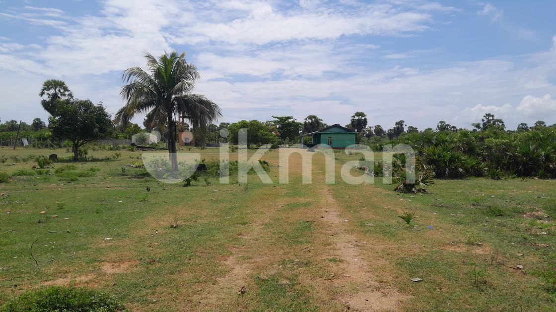 HHL0297 - Land for Sale in Kalkudah | ikman