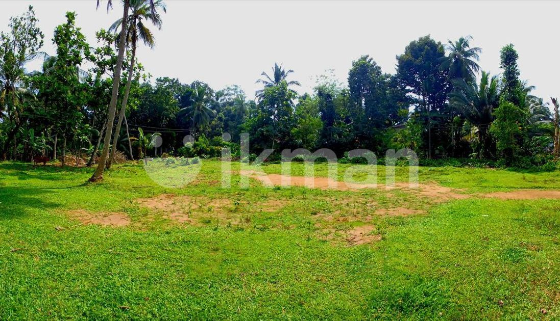 High-Value Land for Sale in Veyangoda | ikman