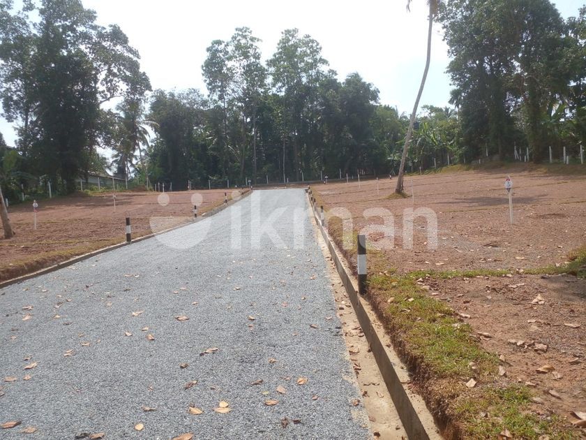 Highly residential land for sale facing Ja Ela-Ganemulla Bus Route | ikman