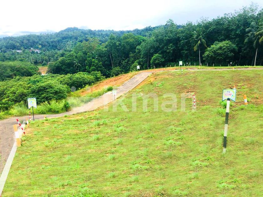 Highly Valuable Land for Sale Near to Pasyala | ikman