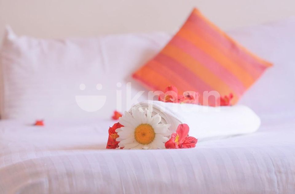 Holiday Bungalow Room for Rent in Nuwareliya | ikman