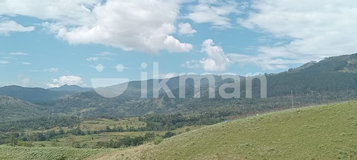 Holiday Mountain Range View Land of Sale Delthota Town | ikman