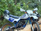 Honda XLR Prices in Sri Lanka | Honda XLR for Sale | ikman