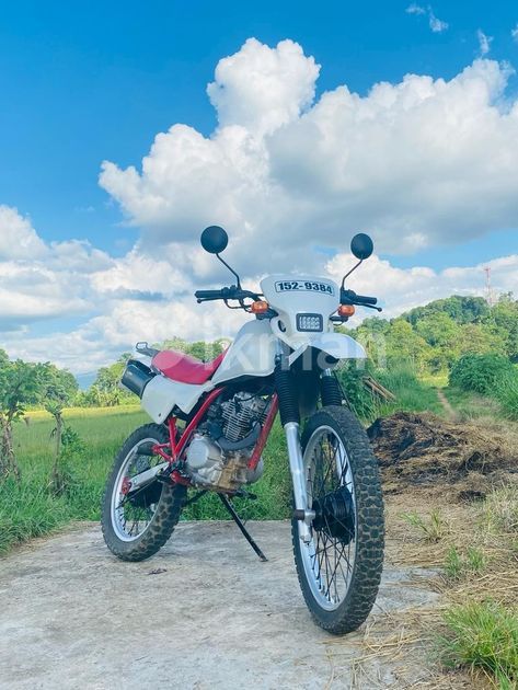 Honda XLR 1998 for Sale in Pilimatalawa | ikman