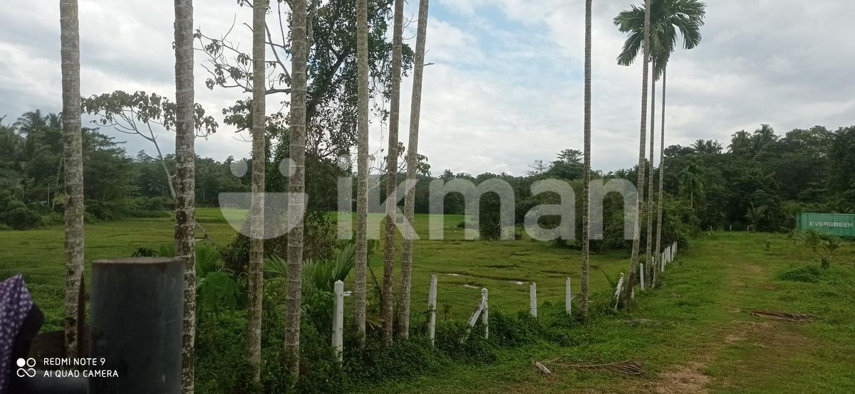 Horana 360 P , 900m to Panadura rd | ikman