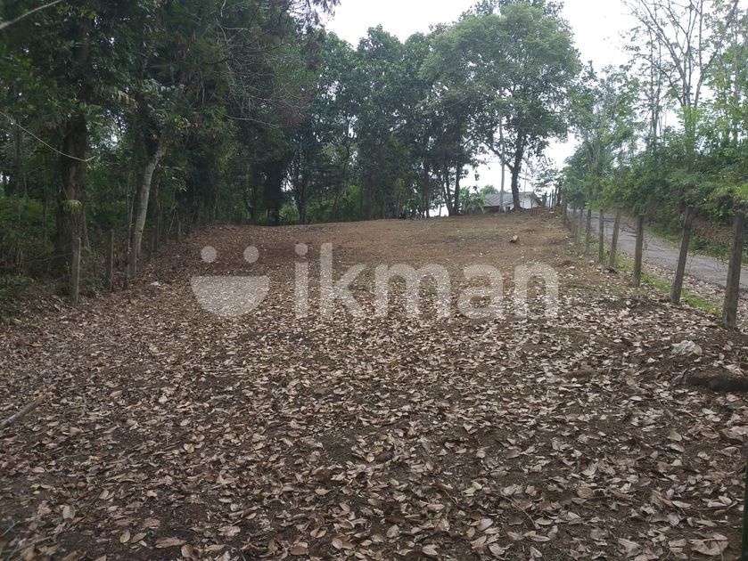 Horana Ballapitiya 15 perch blocks for Sale | ikman