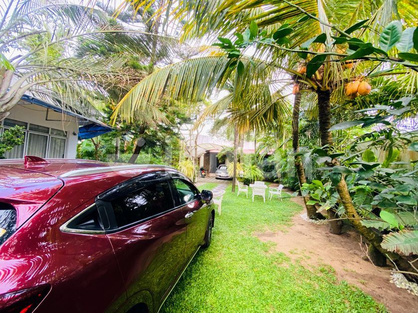 House 29 P Sale At Facing Merine Driver Rd Ratmalana | ikman