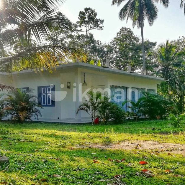 House and Land with Coconut grove in Katunayake for Sale | ikman