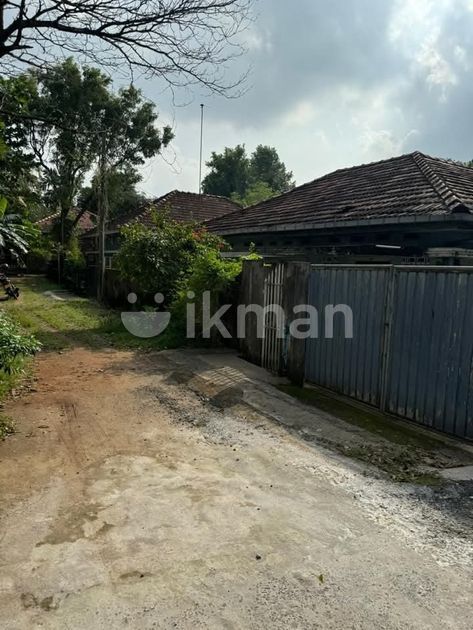 House for sale in Colombo 05 | ikman