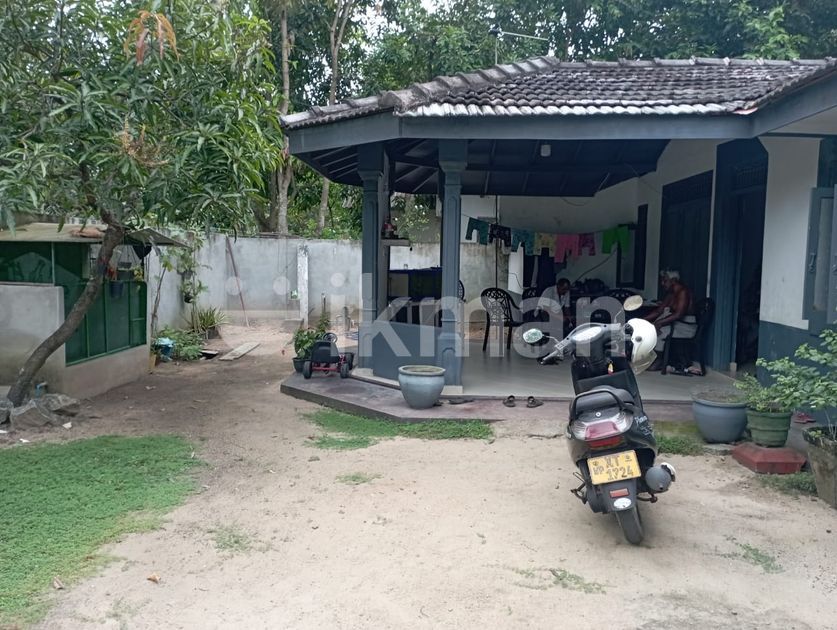 House For Sale Katana Deman handiya Gampaha | ikman