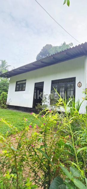 House with 25 Perches in Yakkalamulla | ikman