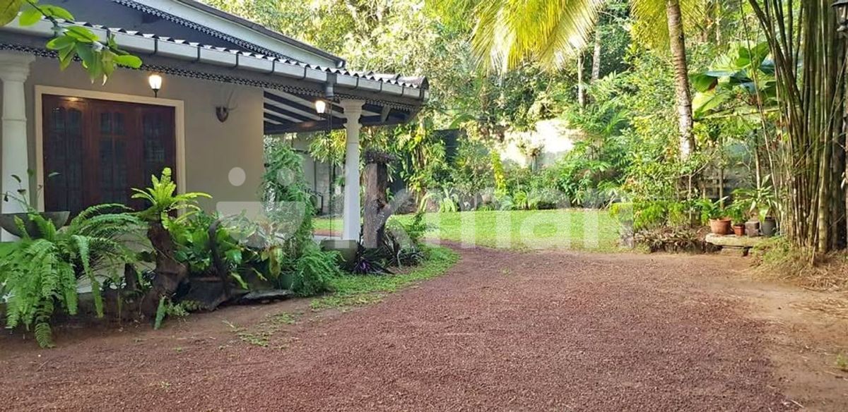 House with annex for sale Kadawatha - Ganemulla Road | ikman