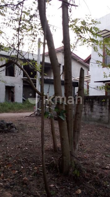 ඉඩමක් විකිණීමට - Kadawatha | ikman
