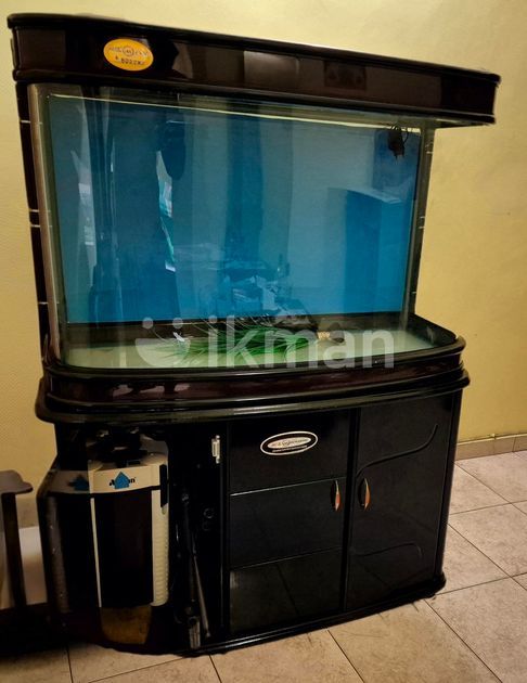 Fish Tank for Sale in Dehiwala | ikman