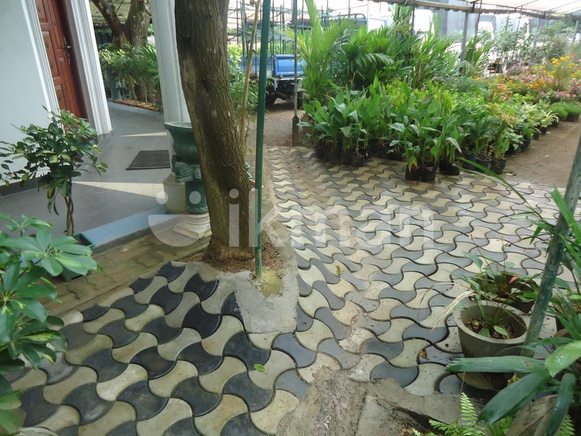 Interlock Paving and Grass Planting | Kottawa | ikman