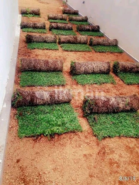 Interlock paving | Kotte | ikman