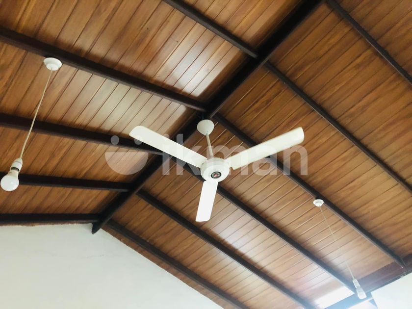 Jack Wood Ceiling Panel | Kotte | ikman