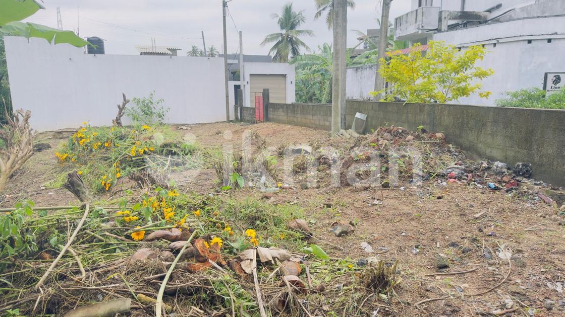 Kadawatha Best Land for Sale | ikman