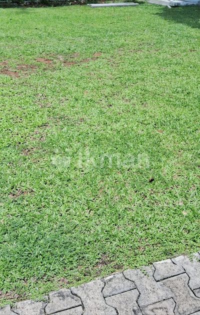Kandana : 11.5 Perches Highly Residential Land for Sale in Bollatha | ikman