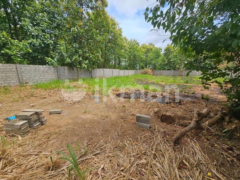 Kandana : 23 Perches Commercial Land for Sale in Bollatha | ikman