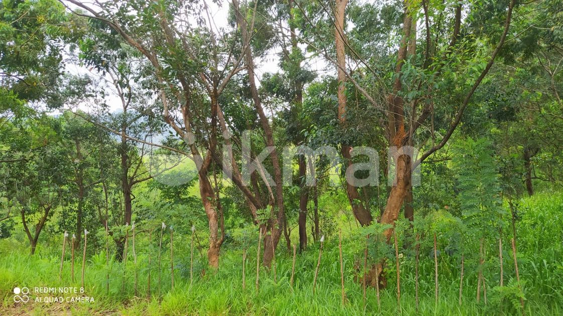 Kandy : 30 Perches High Residential Land for Sale | ikman