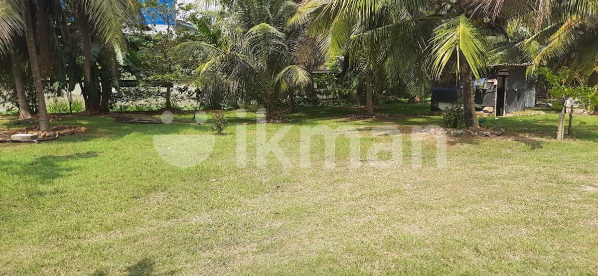 Kolonnawa : 88 Perches High Commercial Land for Sale | ikman