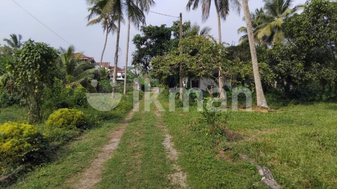 Kurunegala : 60P Highly Valued Land for Sale in Pannala | ikman