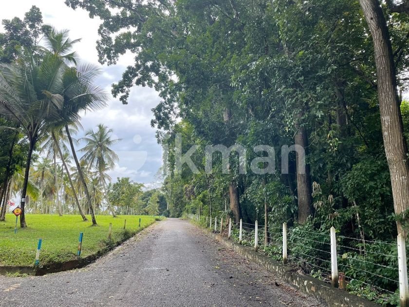 කුරුණෑගල නගරයේ සීතල අත් විදින්න බඩගමුවට යාබදව පිරිසිදු වටපිටාව | ikman