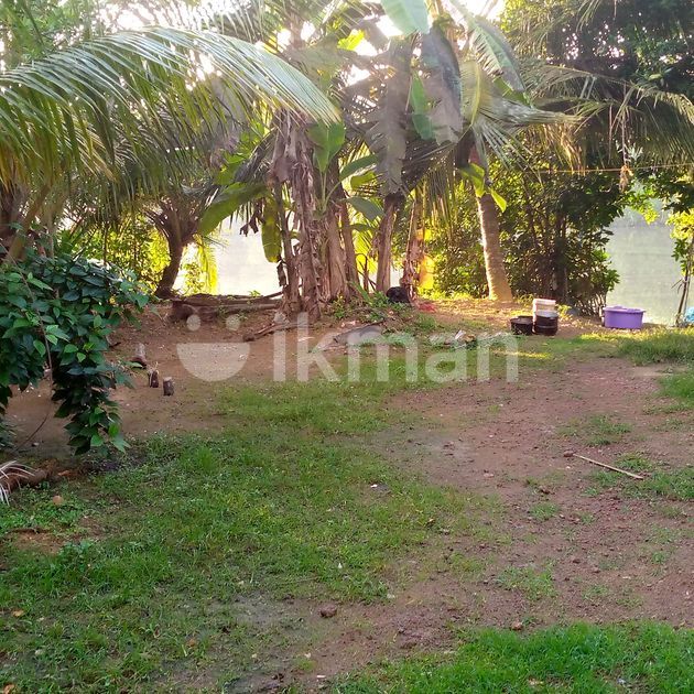 Lake Front Land for Sale Rathgama | ikman
