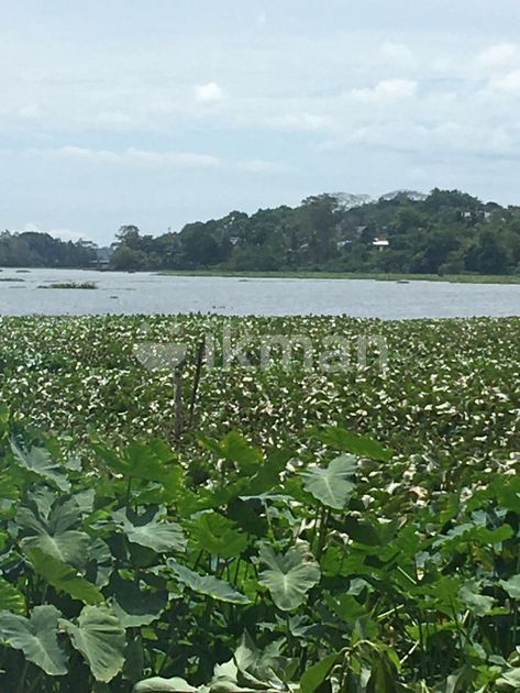 Lake View Land for Sale Katubedda | ikman