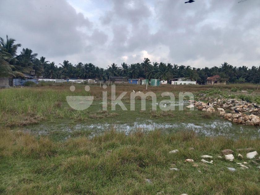 land 2do parappu | ikman