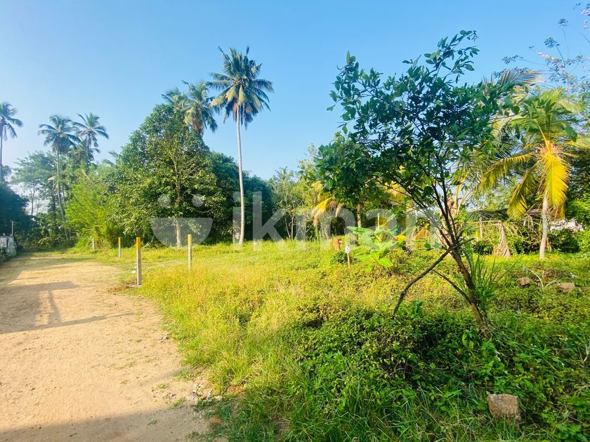 Land Block at Gothatuwa, Close to Baseline Rd, Rajagiriya | ikman