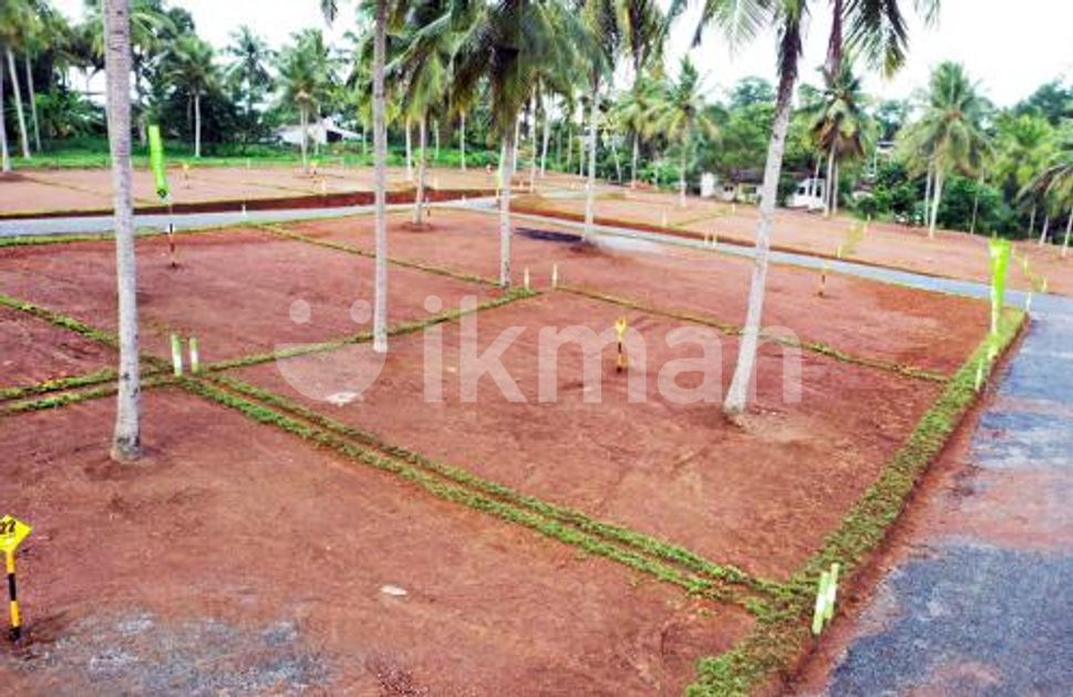 Land Blocks Sale In Watareka | ikman