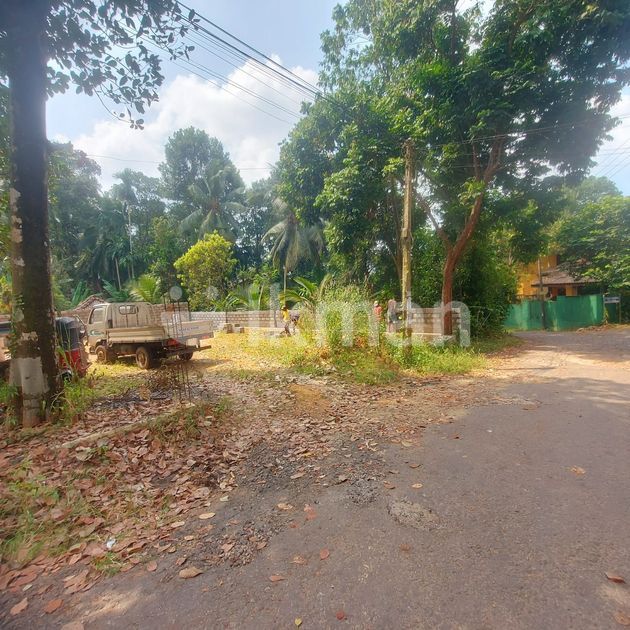 Land for Sale Deepangoda 50m to Colombo Road (ID: DEEP001) | ikman
