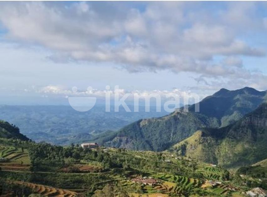 Land for Sale Delthota Dulkadura | ikman