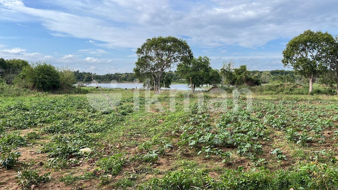 Land for Sale Digampathaha | ikman
