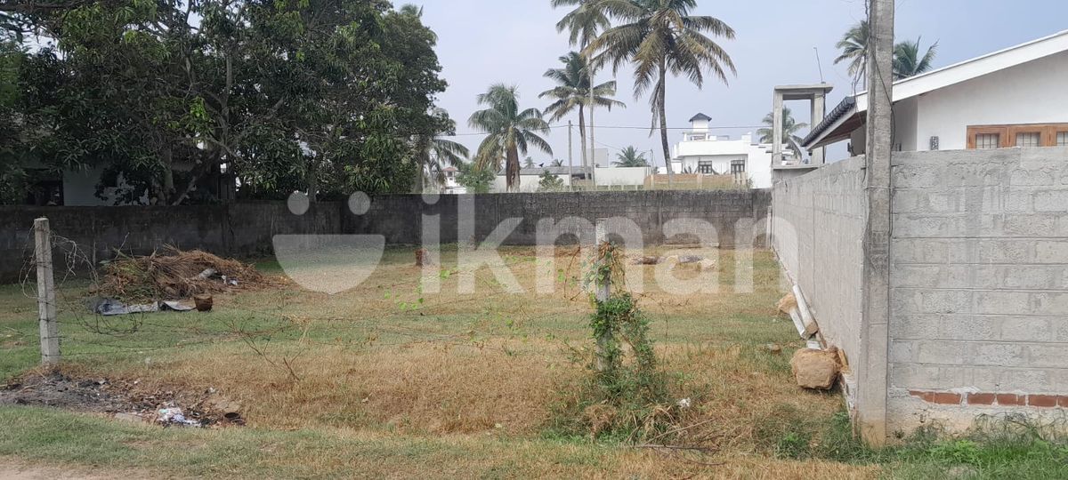 Land for Sale Negombo | ikman
