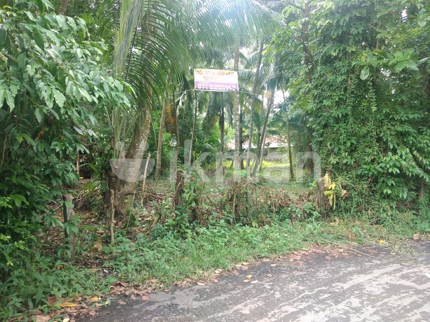 Land For Sale Gampaha | ikman