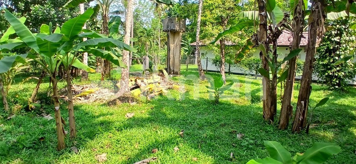 Land for Sale Gampaha Yakkala | ikman