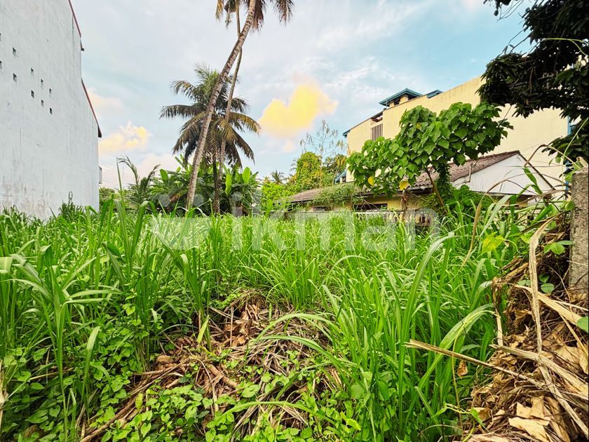 Land for Sale in Angoda | ikman