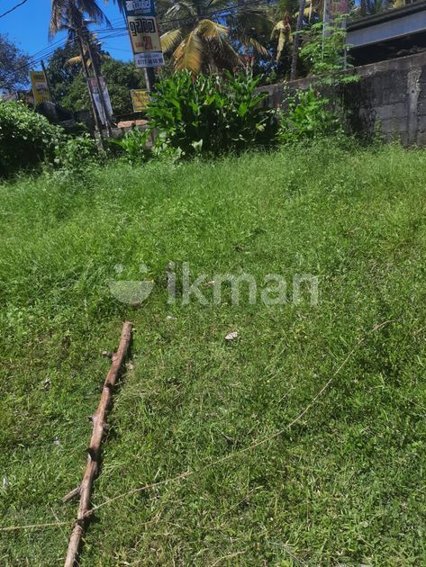 Land For Sale In Boralesgamuwa werahera | ikman