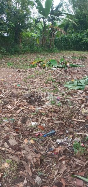 Land For Sale In Boralesgamuwa werahera Gangarama Road | ikman