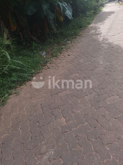 Land For Sale In Boralesgamuwa werahera Gangarama Road | ikman
