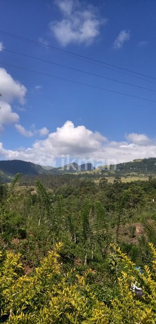 Land for Sale in Galaha - 20 Acre Plot | ikman