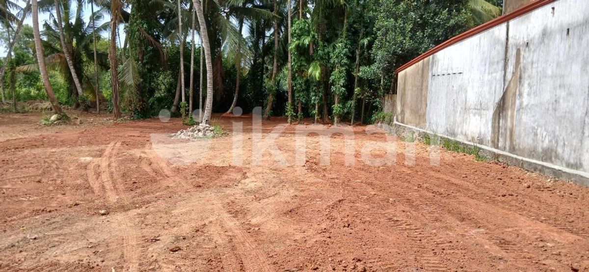 Land for Sale in Gampaha Yakkala | ikman