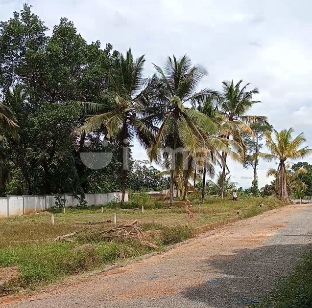 Land for Sale in Homagama (Godagama) | ikman