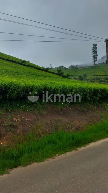 Land for Sale in Kadapola | ikman