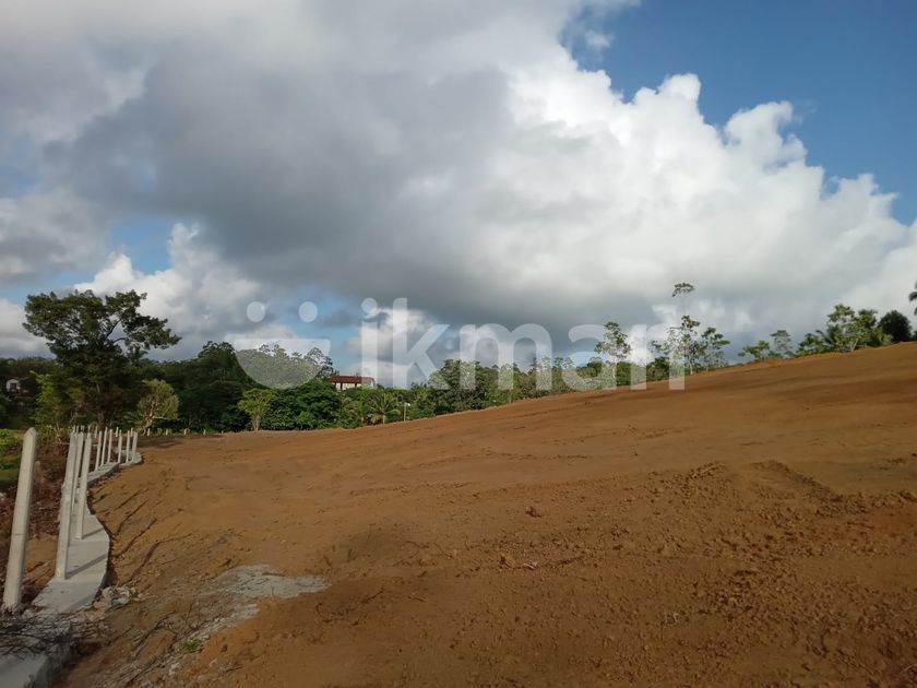 Land for sale in Maggona | ikman