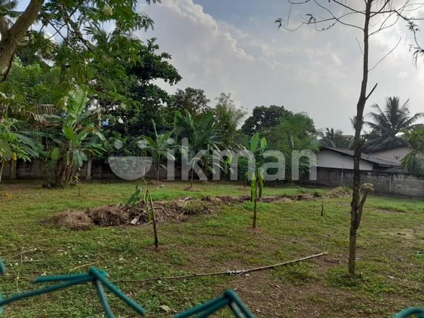 Land for Sale in Malabe | ikman
